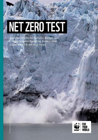 Net Zero Delivery Tracker Autumn 2021 - Summary Report | WWF